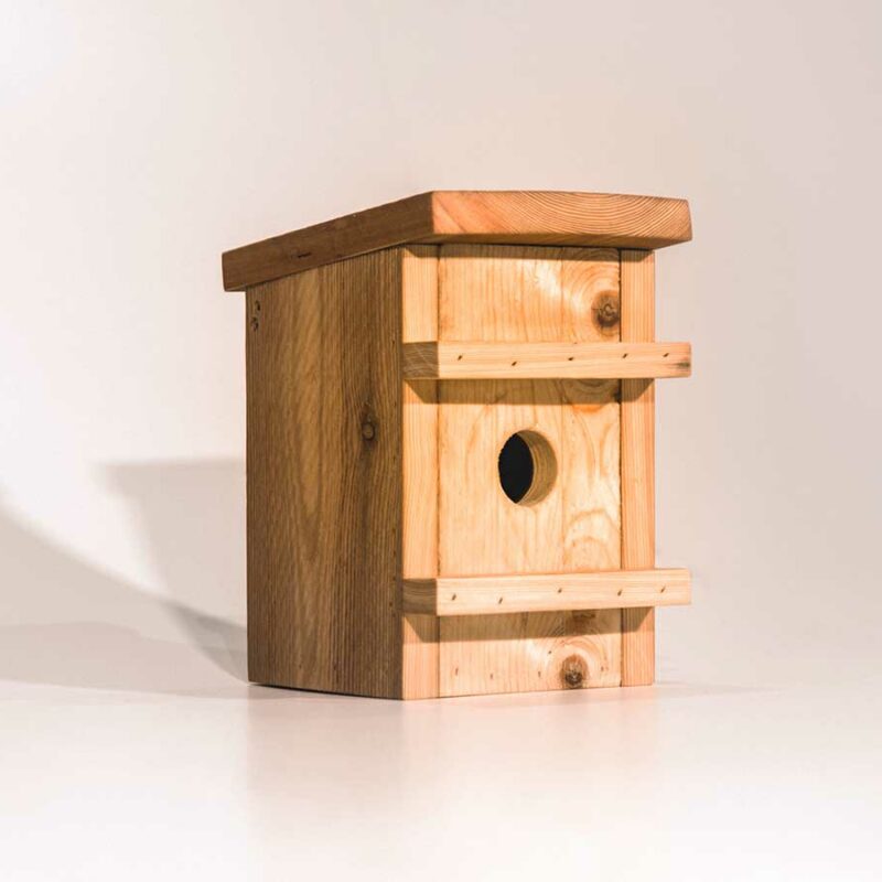 Nesting box Garden Dormouse / Hazel Dormouse | ecovery.be