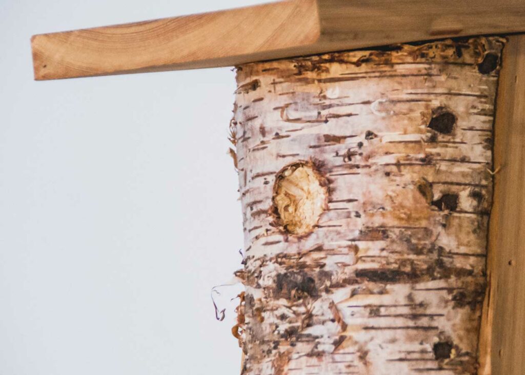 Nestkast Matkop | Ecologische nestkasten | ecovery.be