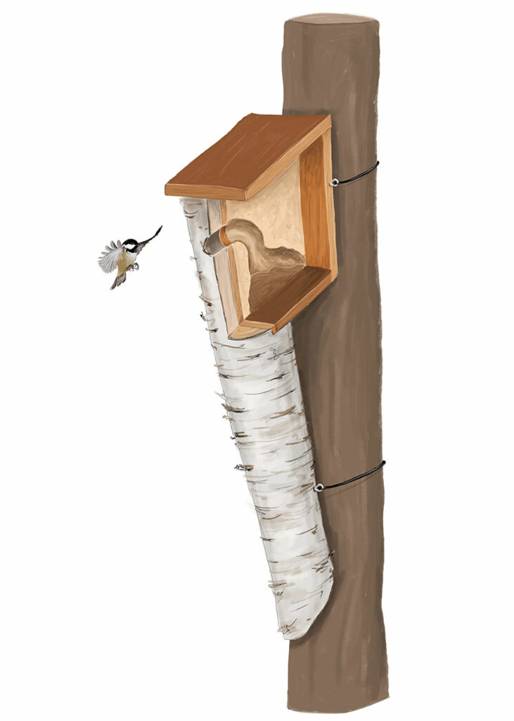 Nest box Willow Tit | Ecological nest boxes | ecovery.be
